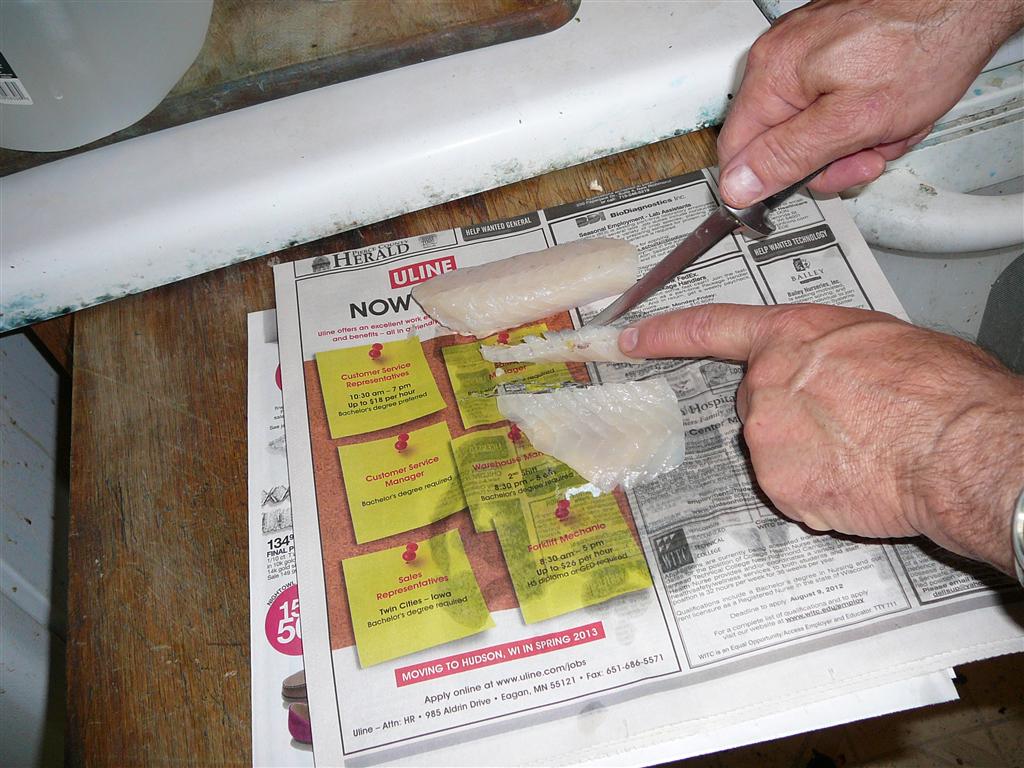 Remove The Bones From Walleye Fillets Fish Cleaning Tips Removing The Remove The Bones From Walleye Fillets Fish Cleaning Tips Removing The